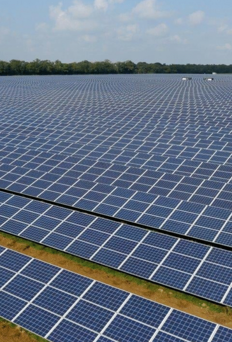 sunstreamgreen